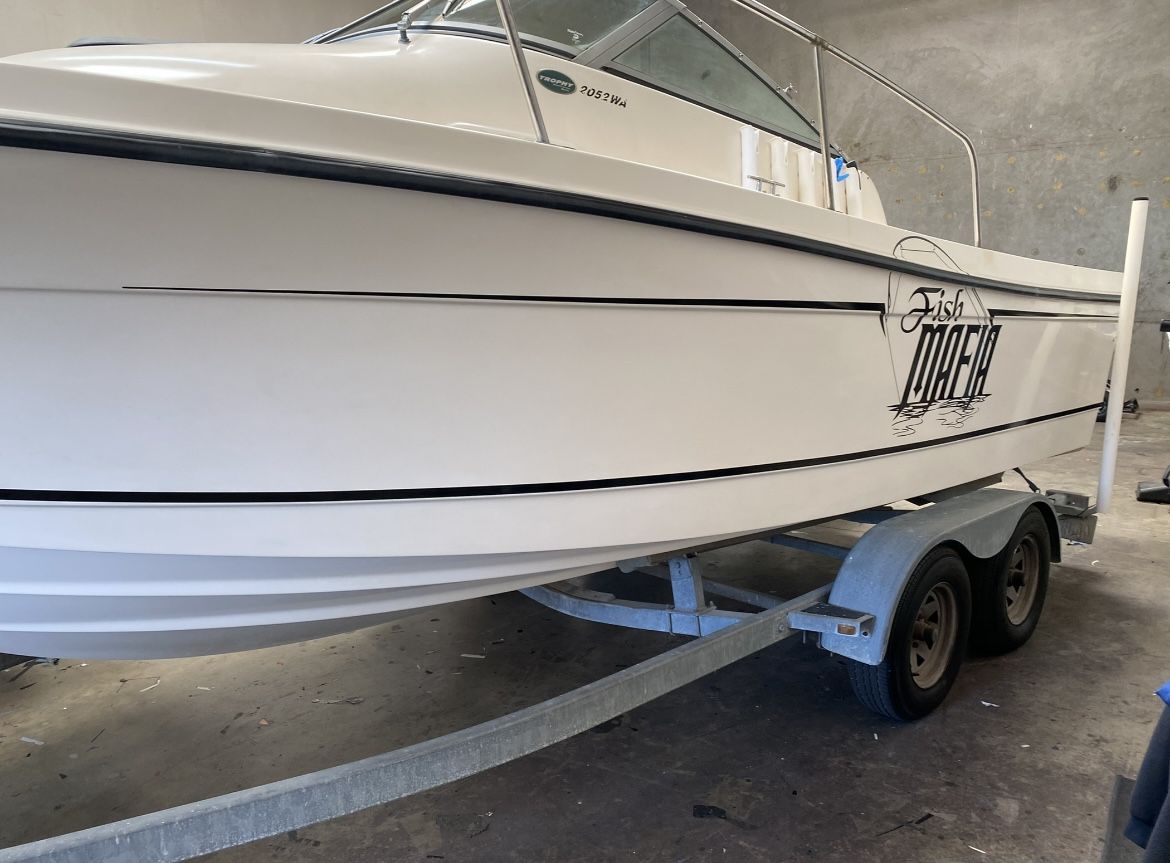 Trophy 20’ Boat for Sale in El Cajon, CA - OfferUp