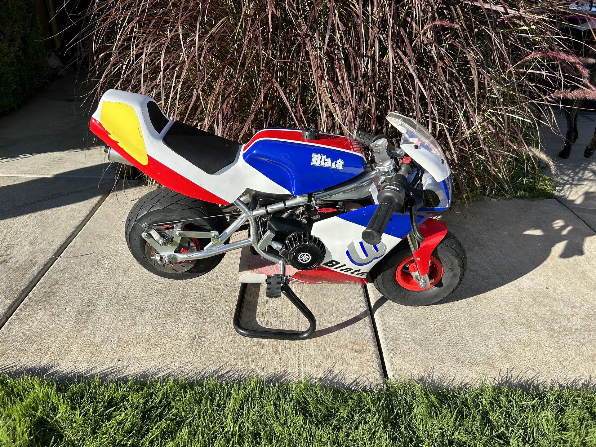 Blata Minimoto Pocket Bike for Sale in Glmn Hot Spgs, CA - OfferUp