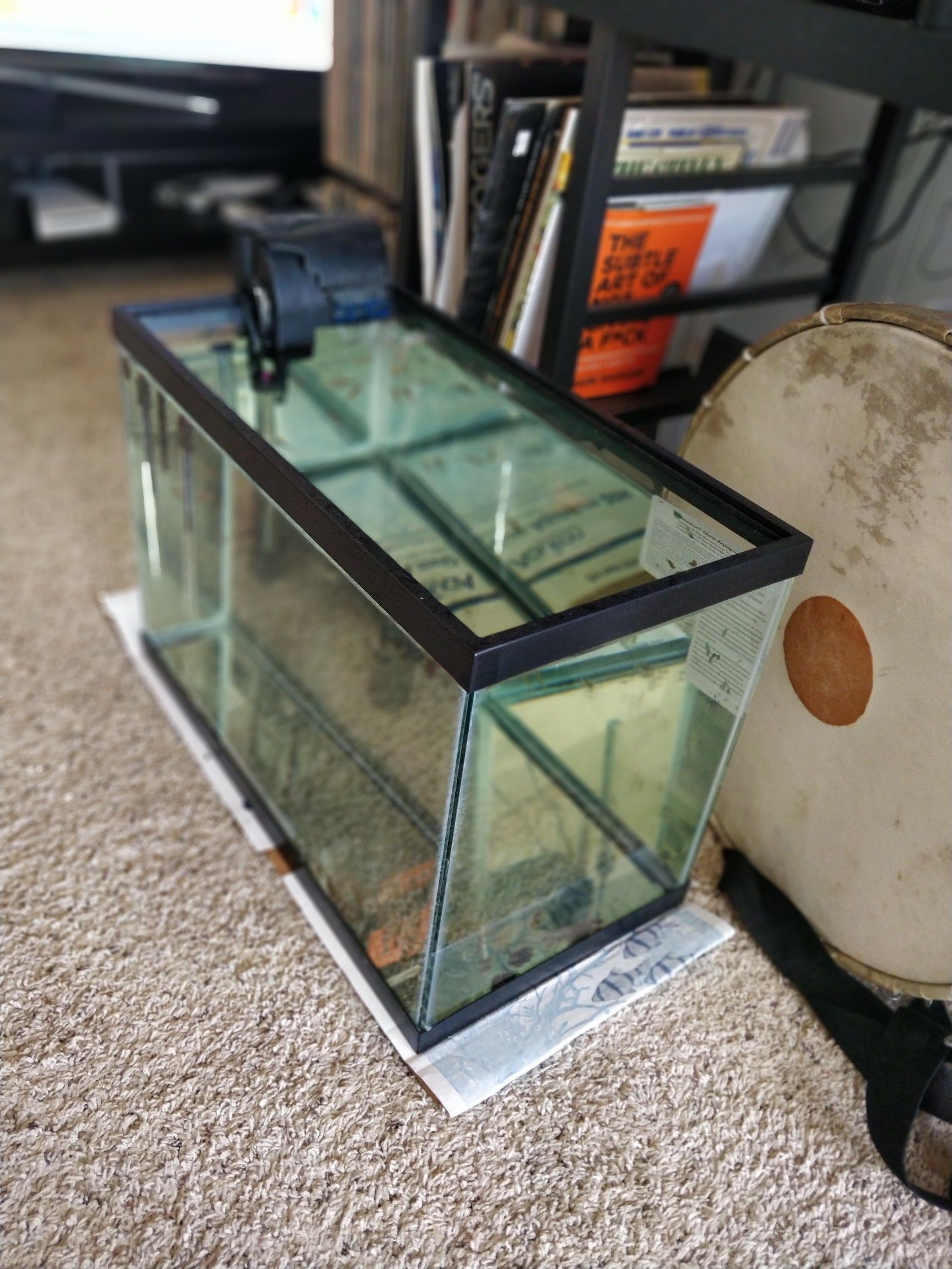 20 gallon tall fish tank w aquarium heater for Sale in San Diego, CA ...