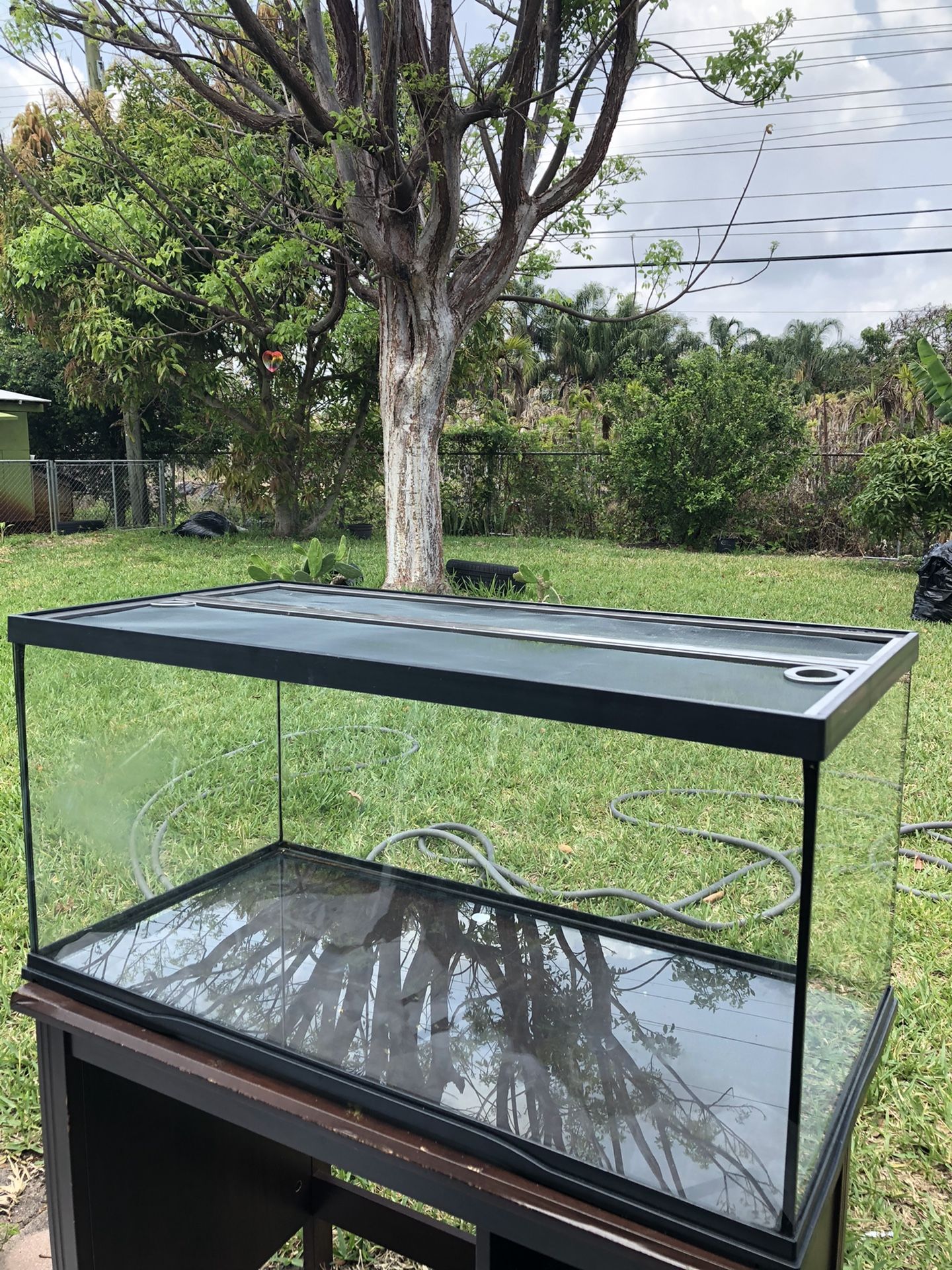 40 Gallon Tank/ Terrarium/ Aquarium for Sale in Fort Lauderdale, FL ...