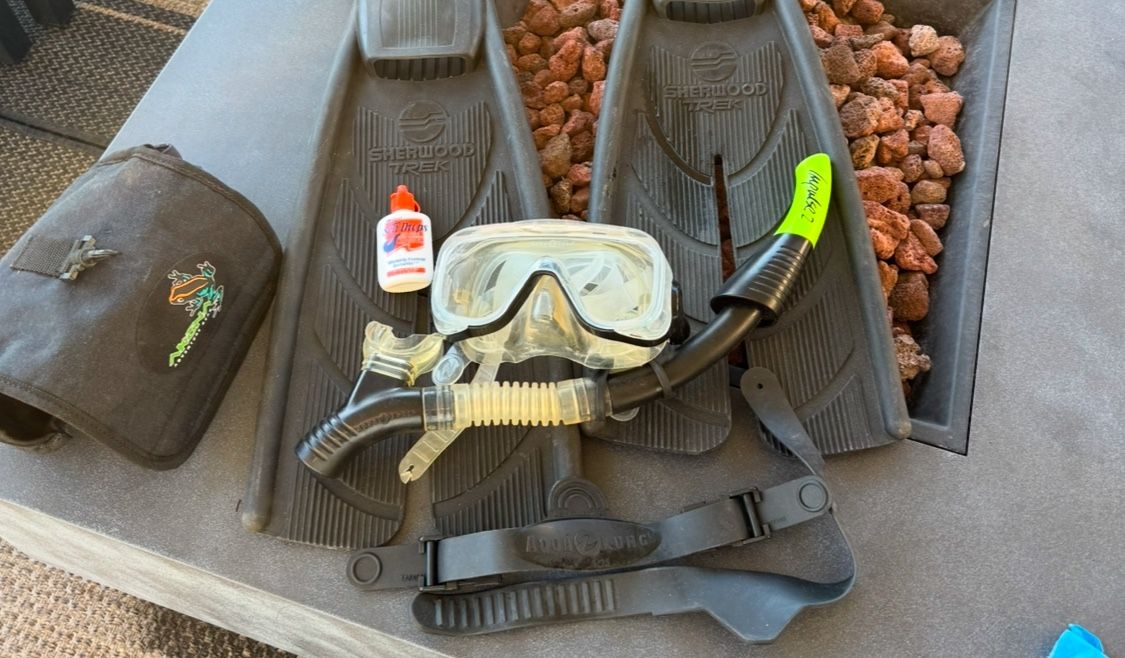 Aqualung Quartz 3 Mask And Impulse 2 Snorkal for Sale in Edgewood, WA ...