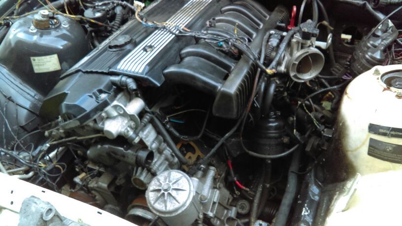 Bmw E36 328i Engine