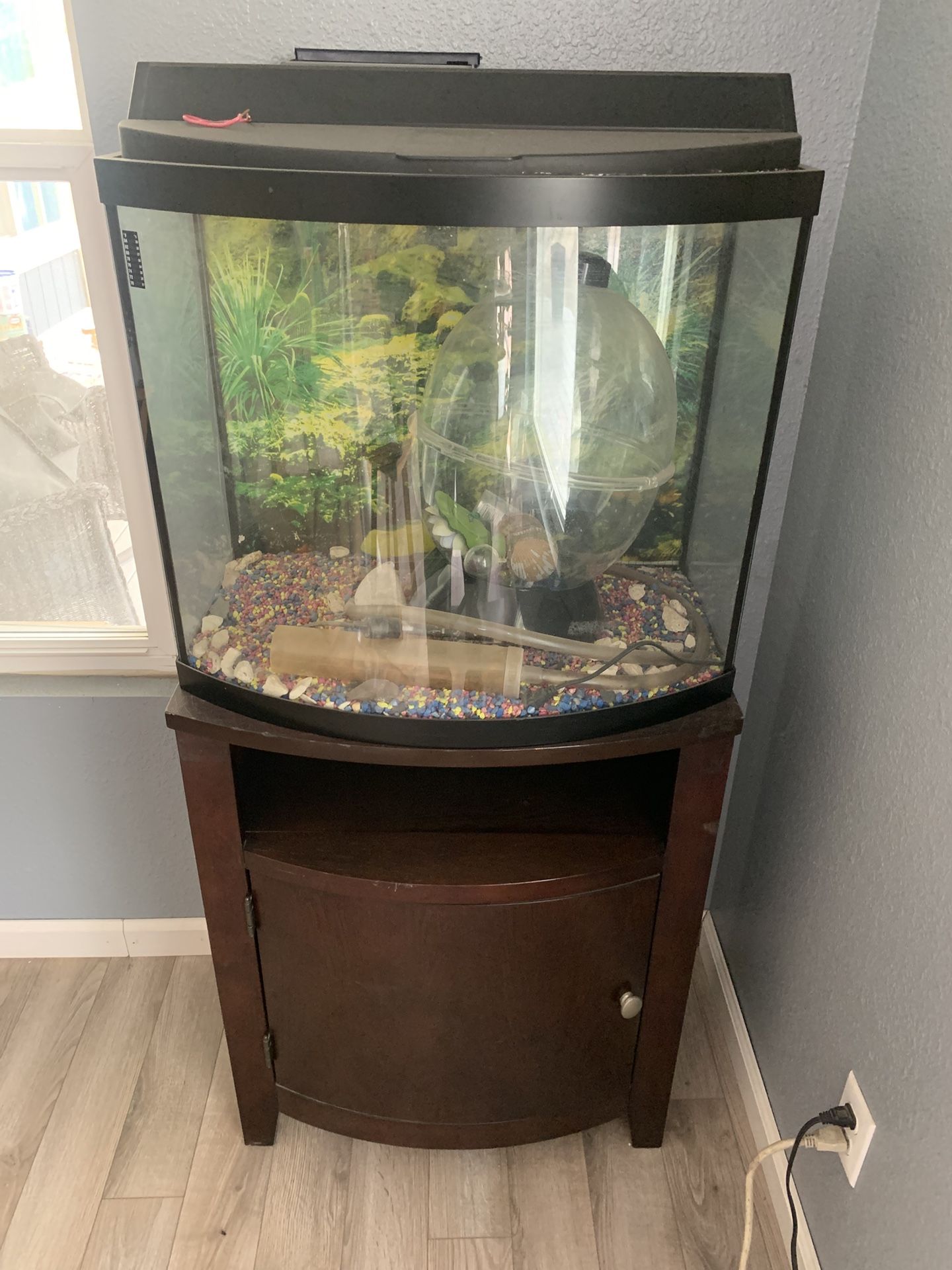 28 Gallon Round Front Aquarium / Cherry Cabinet for Sale in Alpine, CA ...