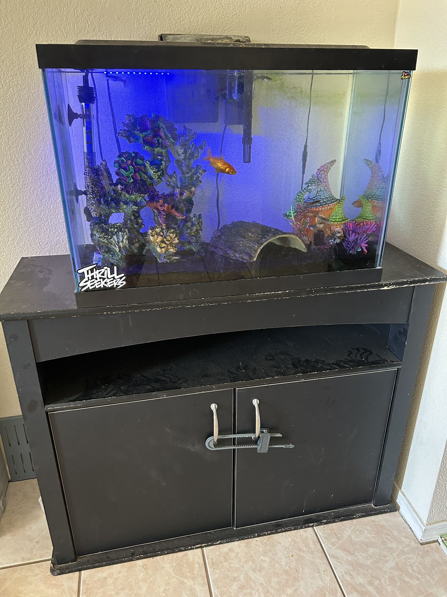 20 Gallon High Fish Tank & Stand for Sale in Peoria, AZ - OfferUp
