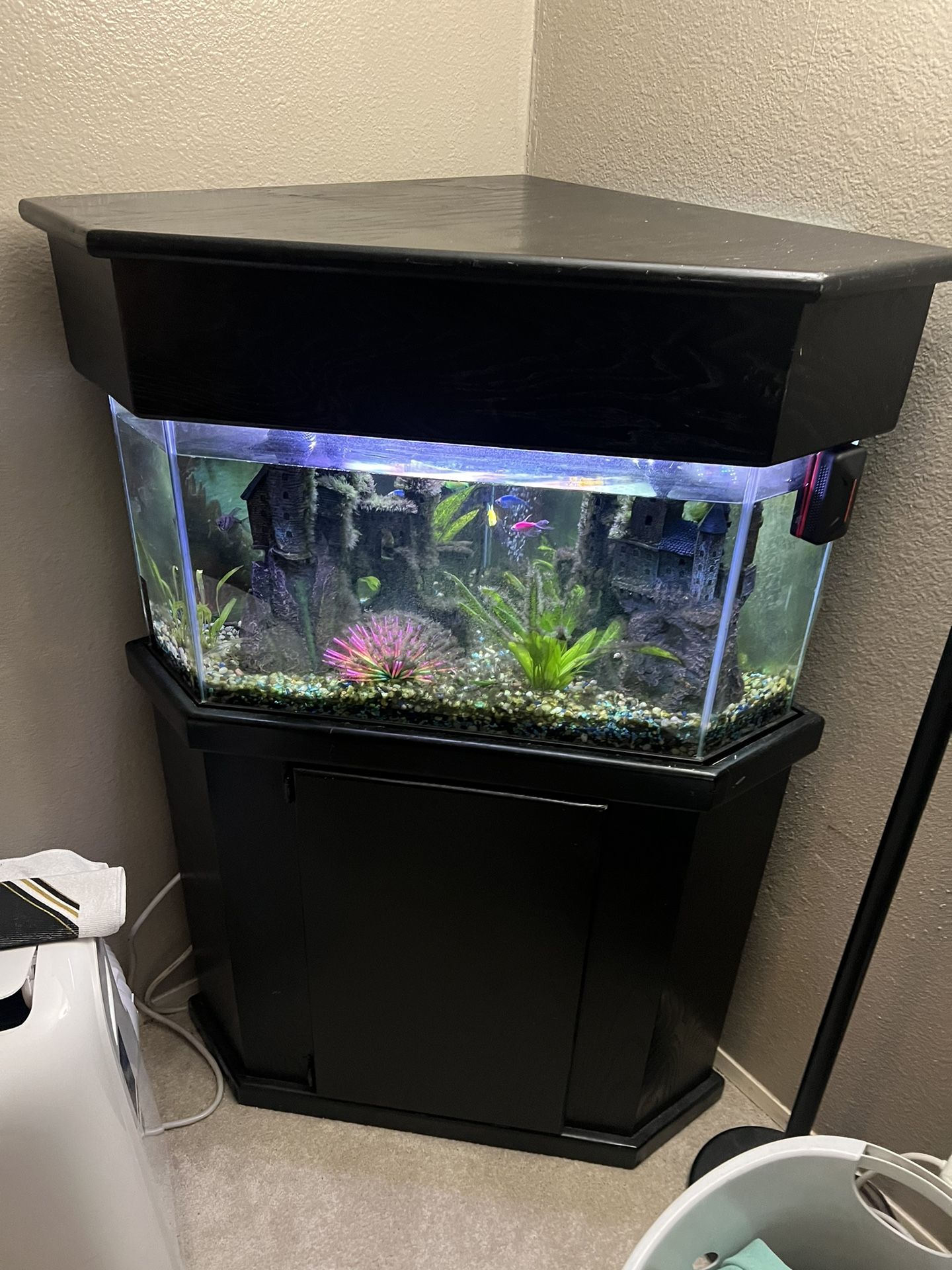 40 Gallon Corner Fish Tank, With Stand And piano Top. for Sale in ...