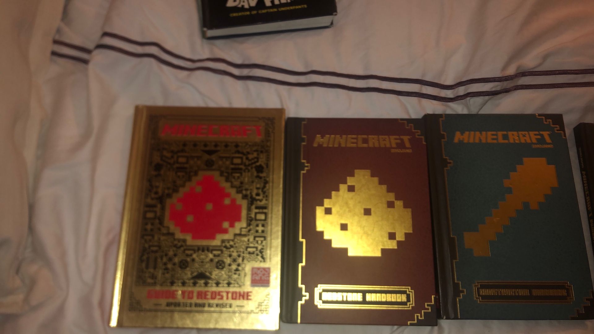 Minecraft Books for Sale in Fontana, CA - OfferUp