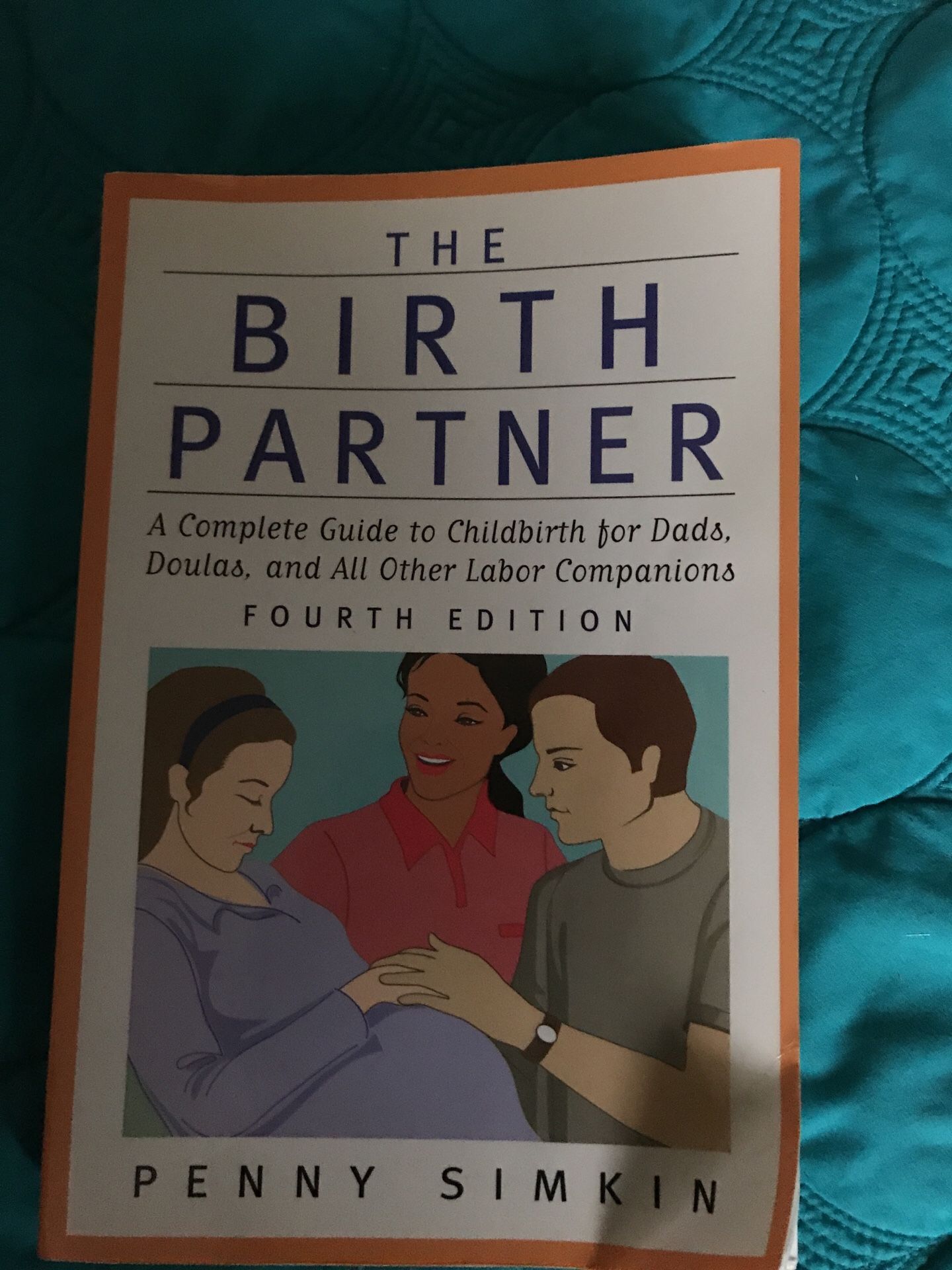 Birth Partner Book (pregnancy/birth) for Sale in Windham, CT - OfferUp