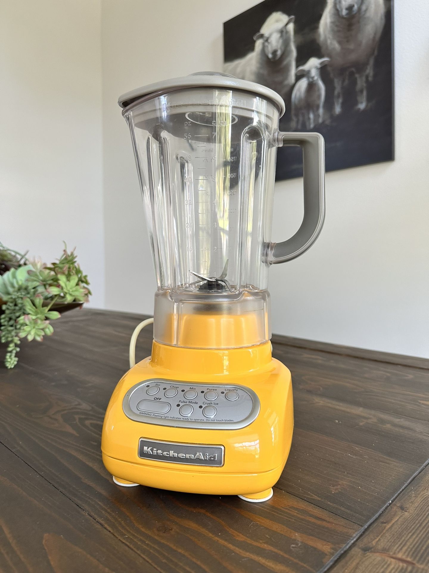Kitchen Aid 5-Speed Classic Blender in Yellow Pepper for Sale in ...