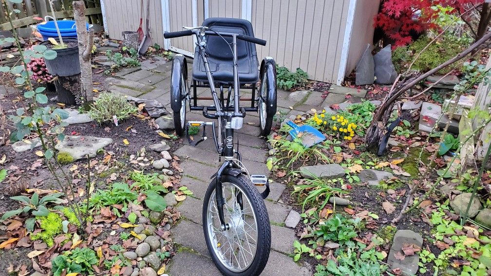 Worksman Cycles PAV3 for Sale in Binghamton, NY - OfferUp