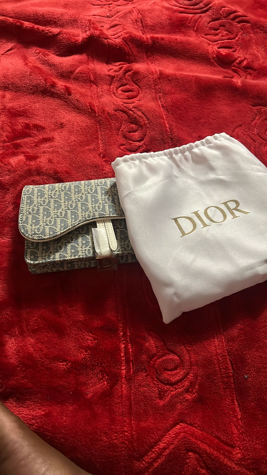 Dior Purse for Sale in Las Vegas, NV - OfferUp