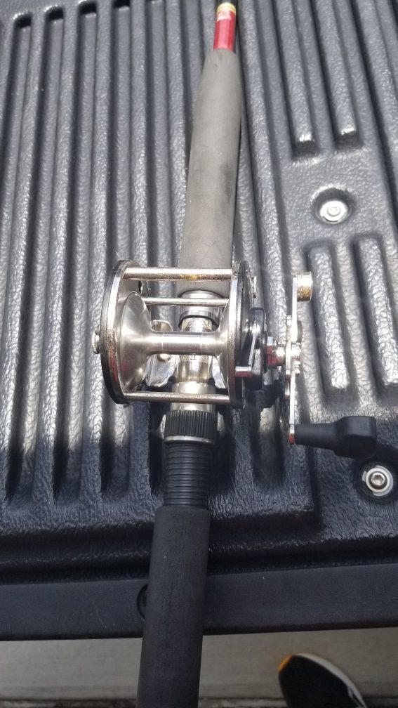 Penn Senator Combo Rod 3840RF 6'6" with free Penn 209 Level Wind Reel ...
