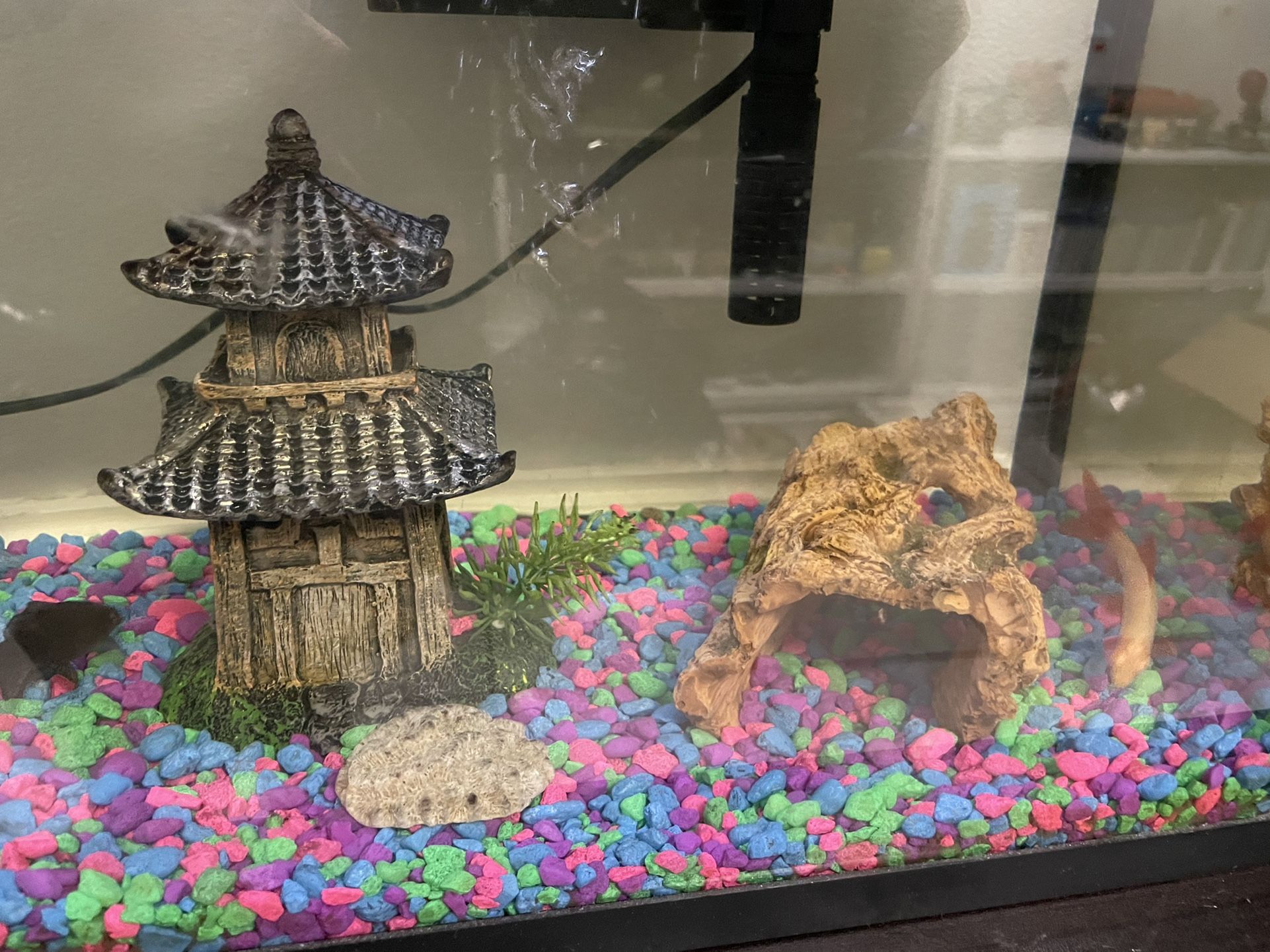 Asian Themed Fish Tank