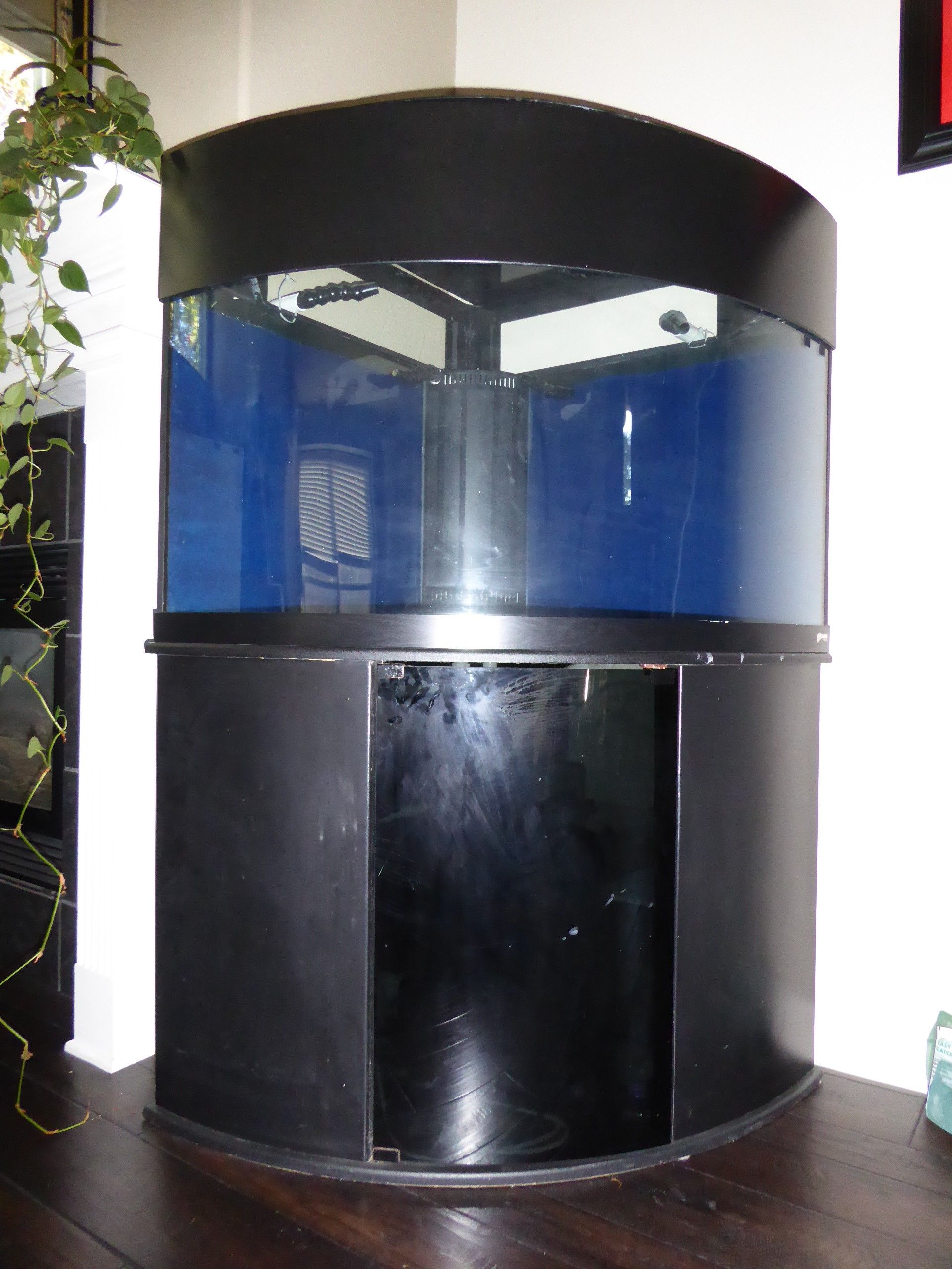 92 gallon corner tank ~ Oceanic reef aquarium for Sale in Plano, TX ...