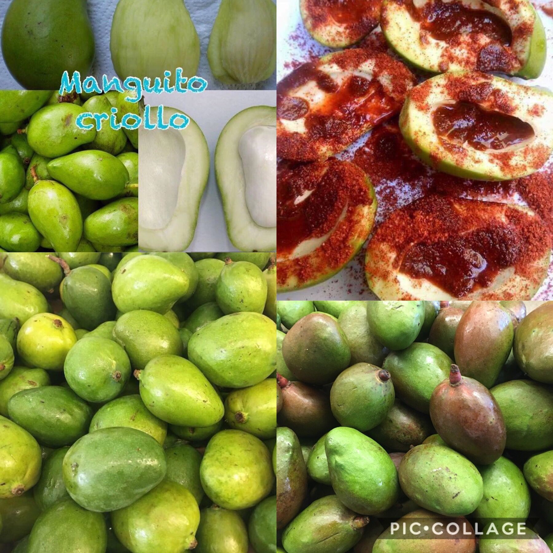 Manguito criollo nances ciruelas chirimoya papalos Pipichas rambutan ...