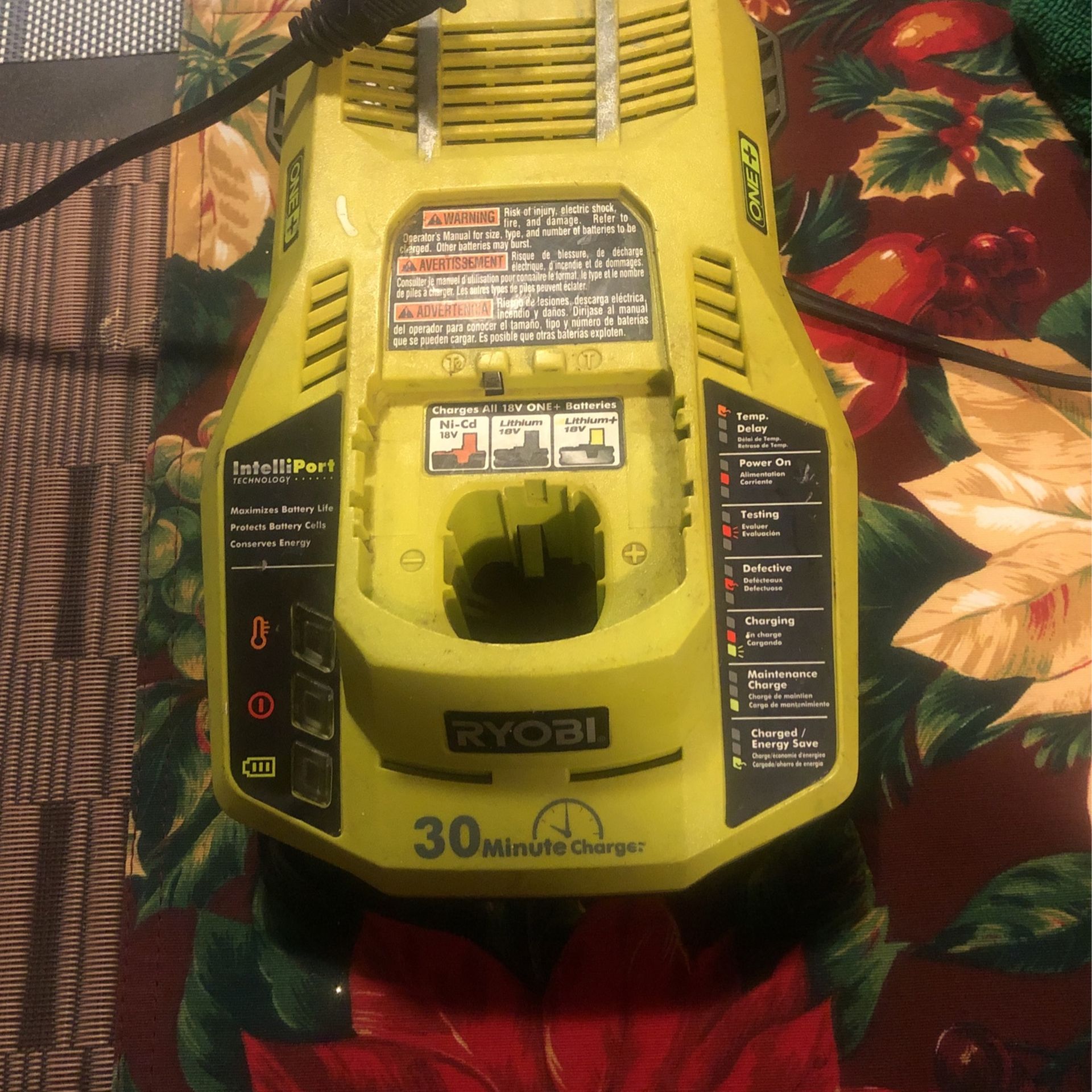 Ryobi 30 Minute Charger