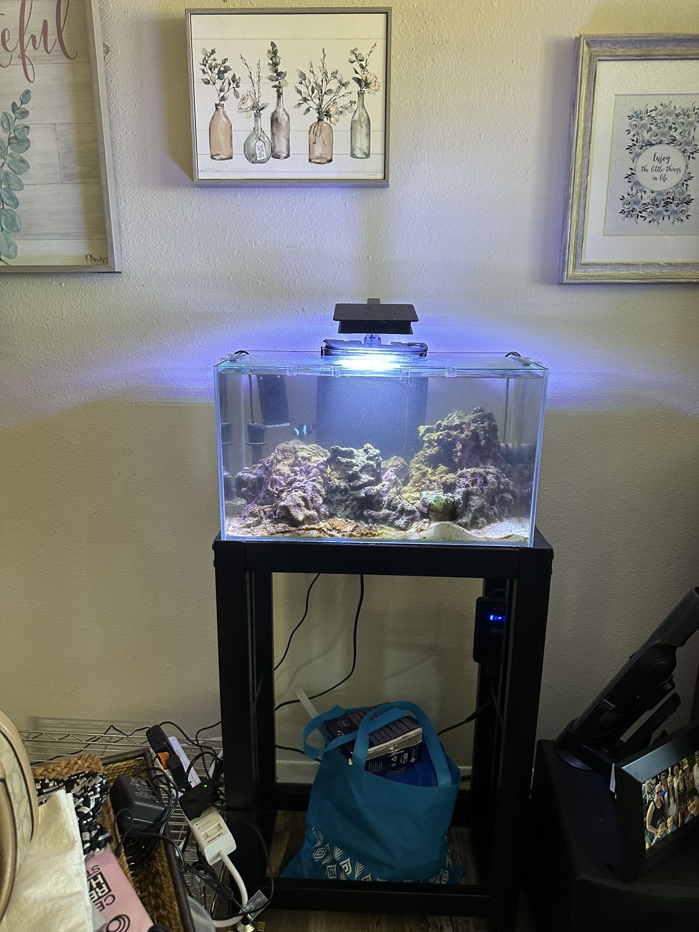 Salt Water Tank for Sale in Wattenburg, CO - OfferUp