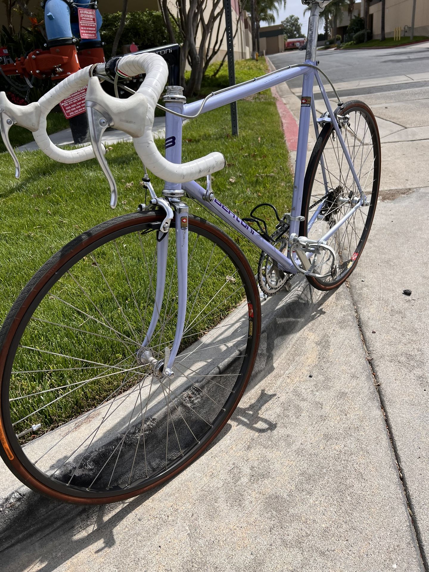 Made In Italy Bertoni Corsa Mondiale Road Bike 58 Cm /Bicicleta ...