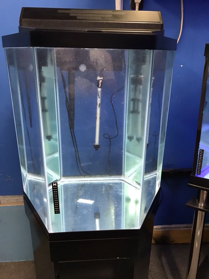 60 gallon Hexagon Aquarium fish tank complete set up $400 for Sale in ...