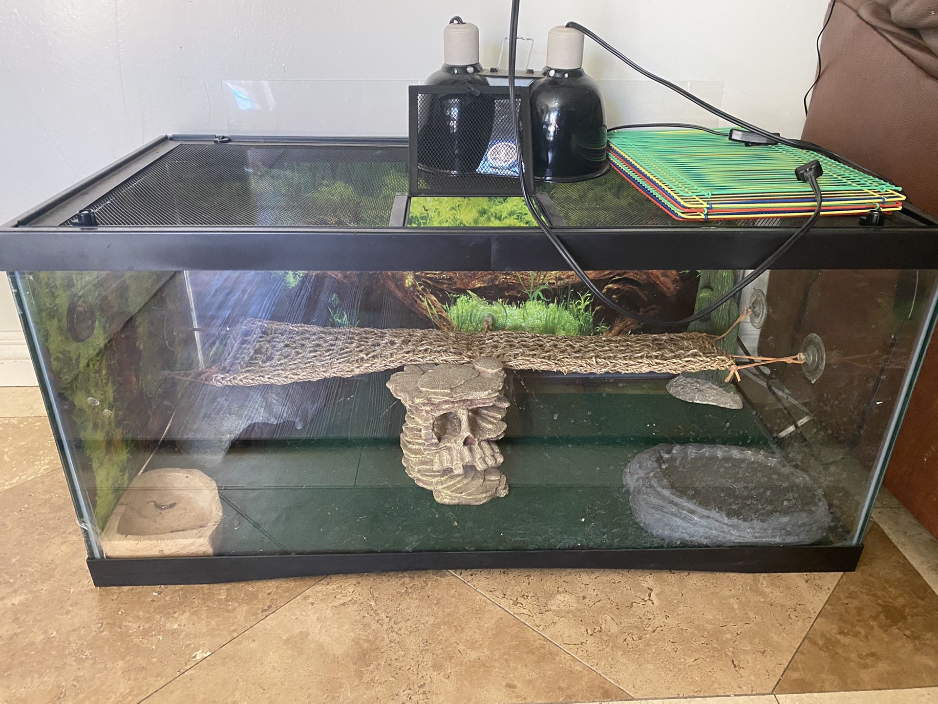 50 Gallon Tank Bearded Dragon