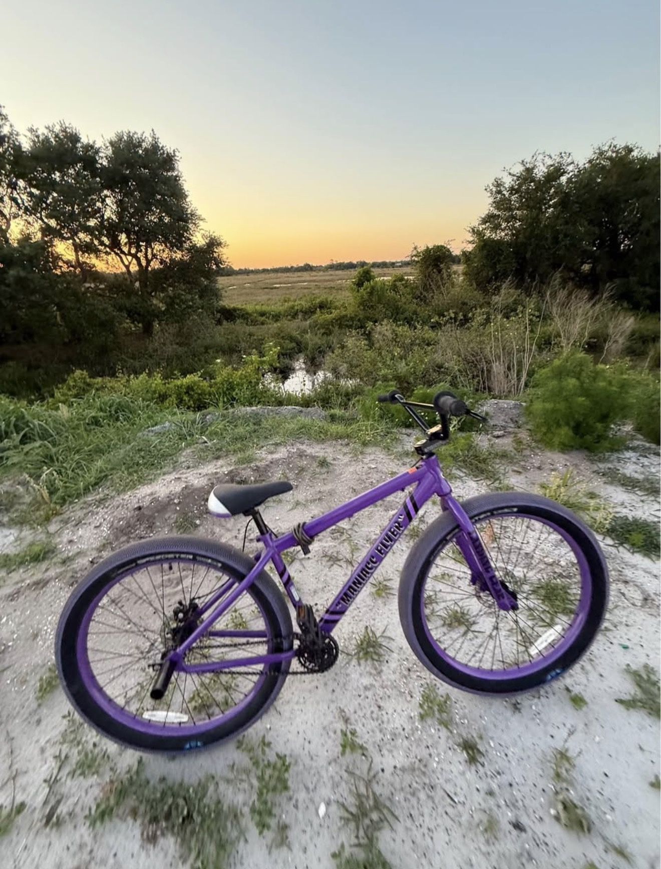 Maniacc Flyer Se Bike (Read Description) for Sale in Magnolia Square ...