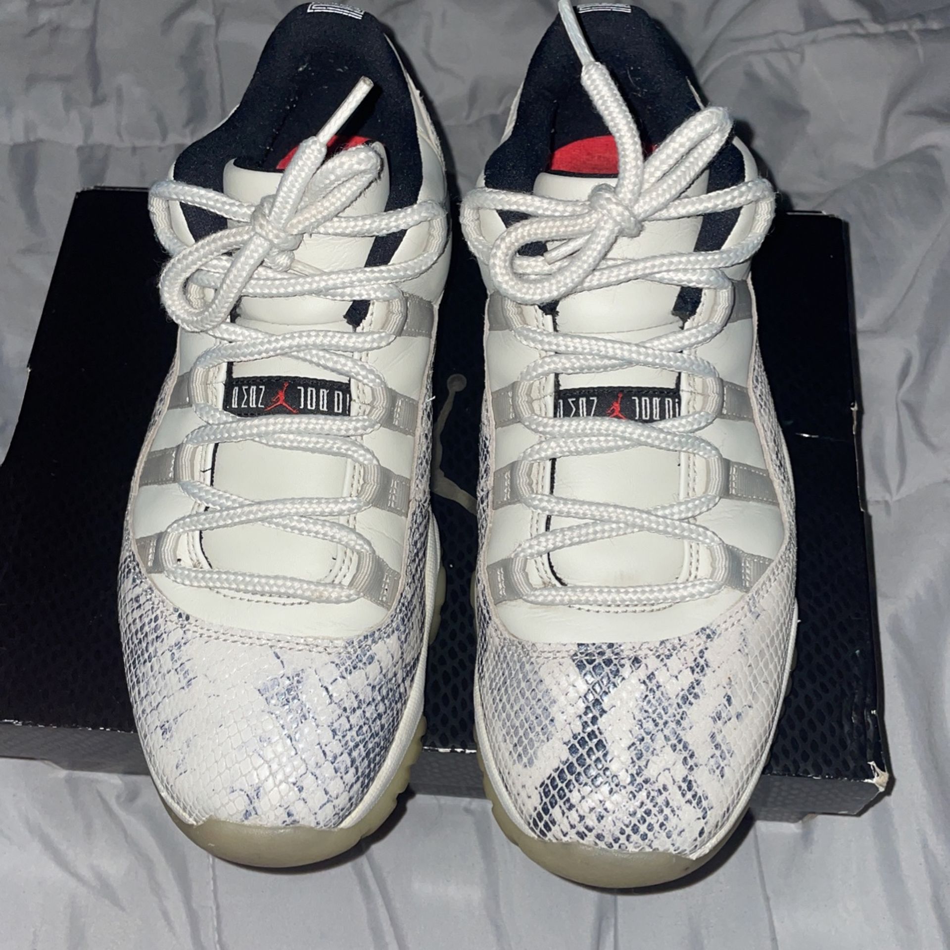 Jordans 11 Snakeskin