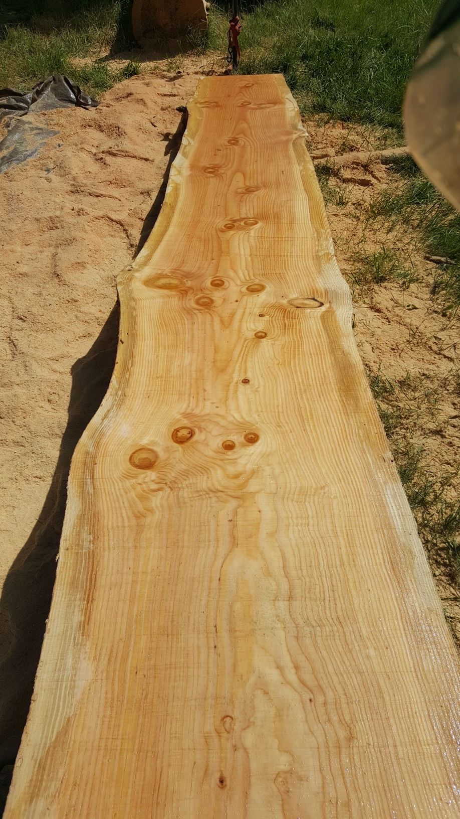Live Edge Fir Slabs for Sale in Tumwater, WA - OfferUp