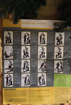Marcy Platinum Home Gym Exercise Chart Pdf - Infoupdate.org