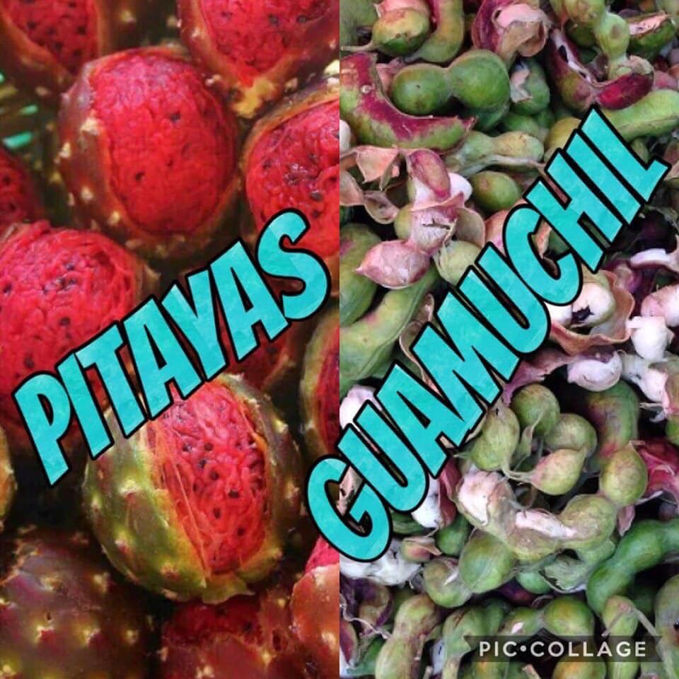 Pitaya fresca. Guamuchil. Ciruelas Quelites fresco. Papalos. Quintonil ...