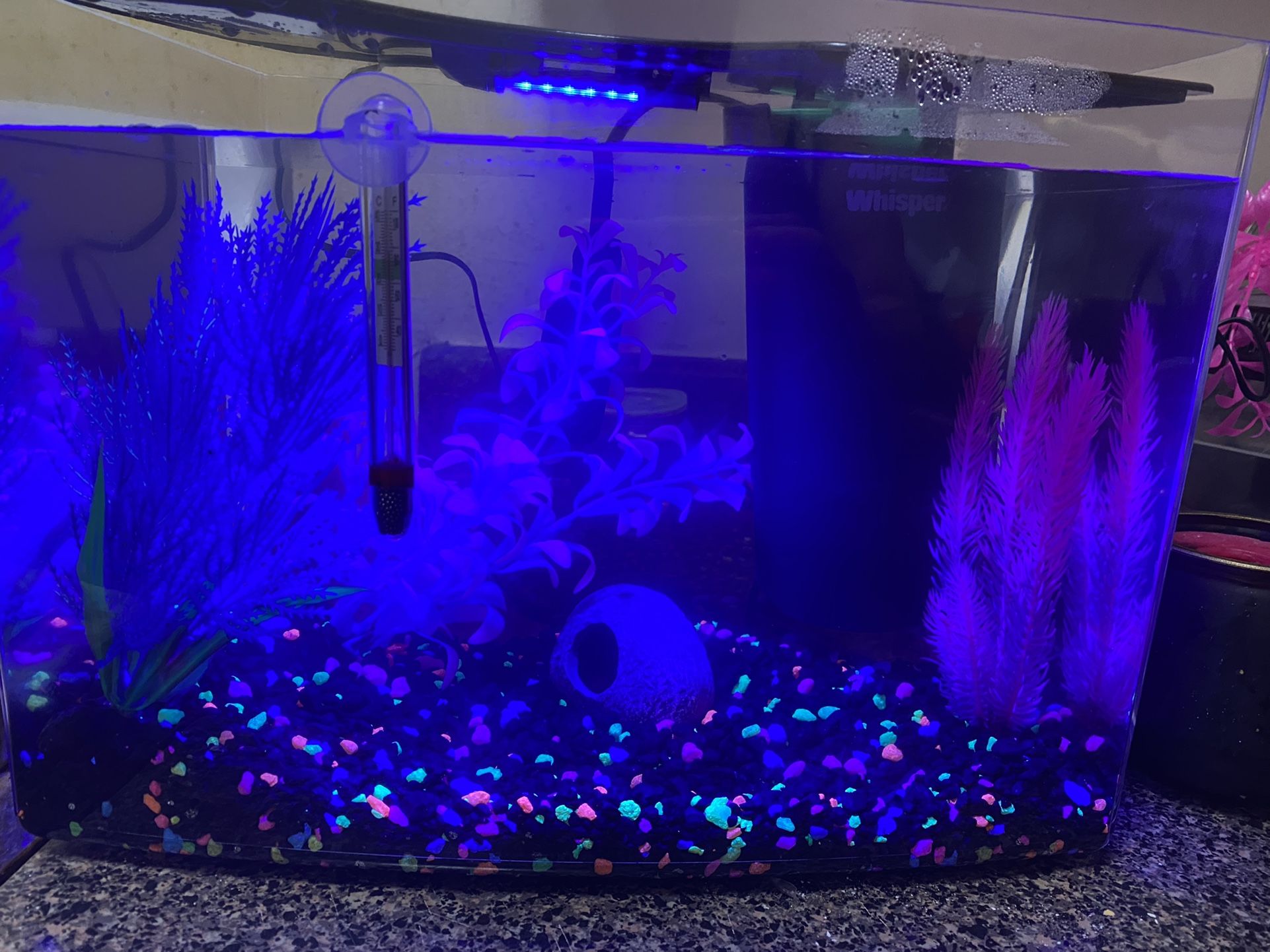 Filtered Led Fish Tank ( 3 Gallon Only Used For 1 Day ) for Sale in ...