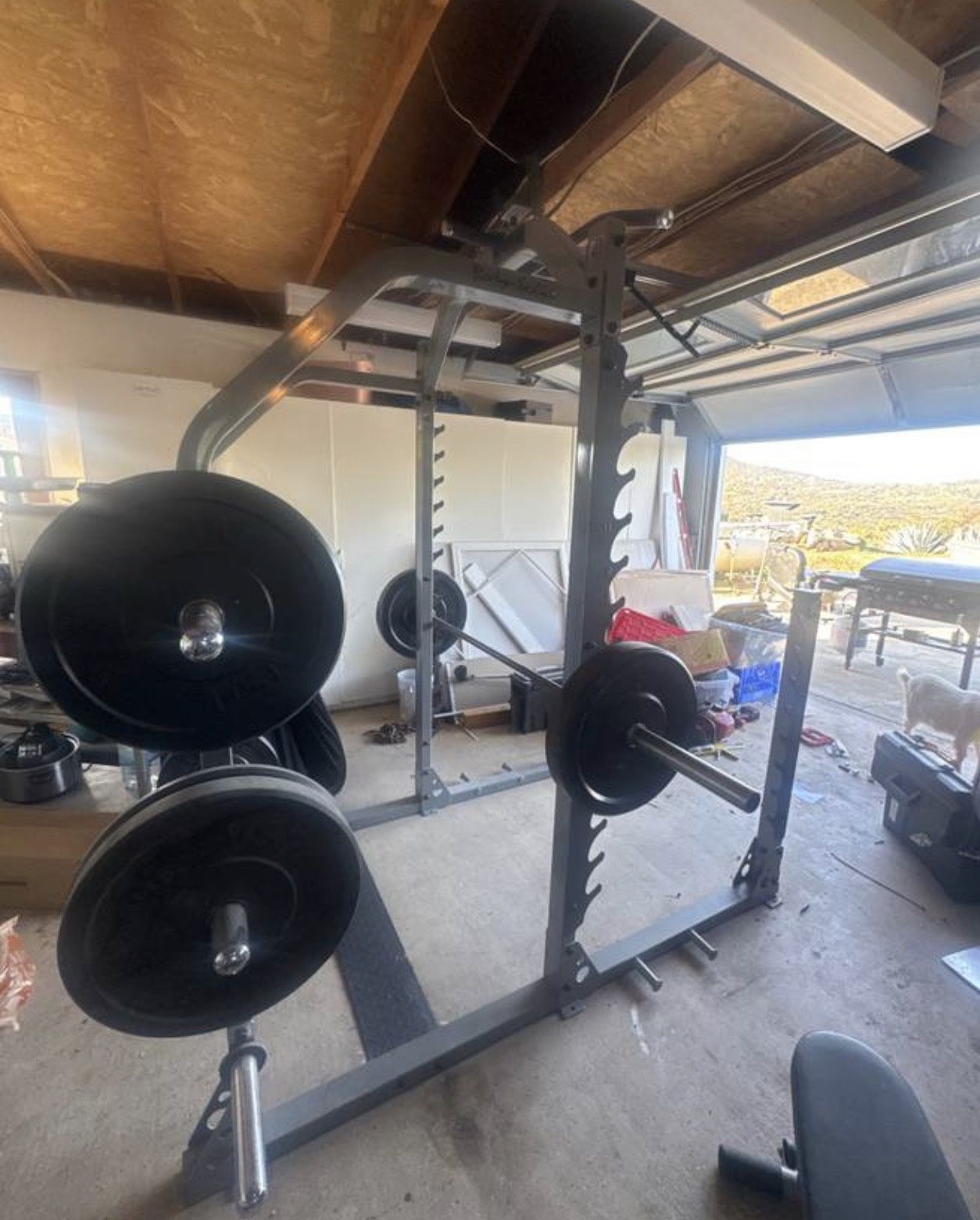 Body solid Weight Rack for Sale in Jamul, CA - OfferUp