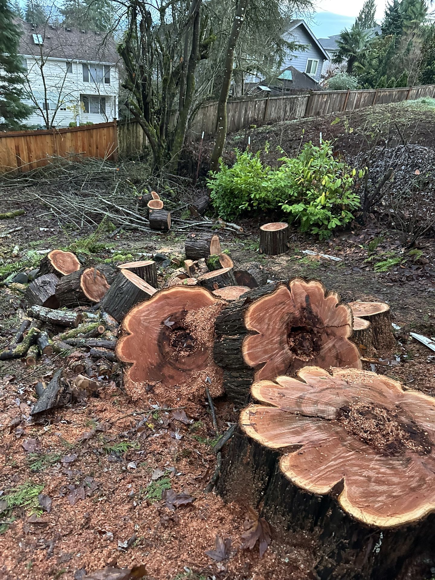 Maple And Cedar Firewood for Sale in Redmond, WA - OfferUp