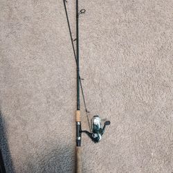 Fishing rod for Sale in Seattle, WA - OfferUp