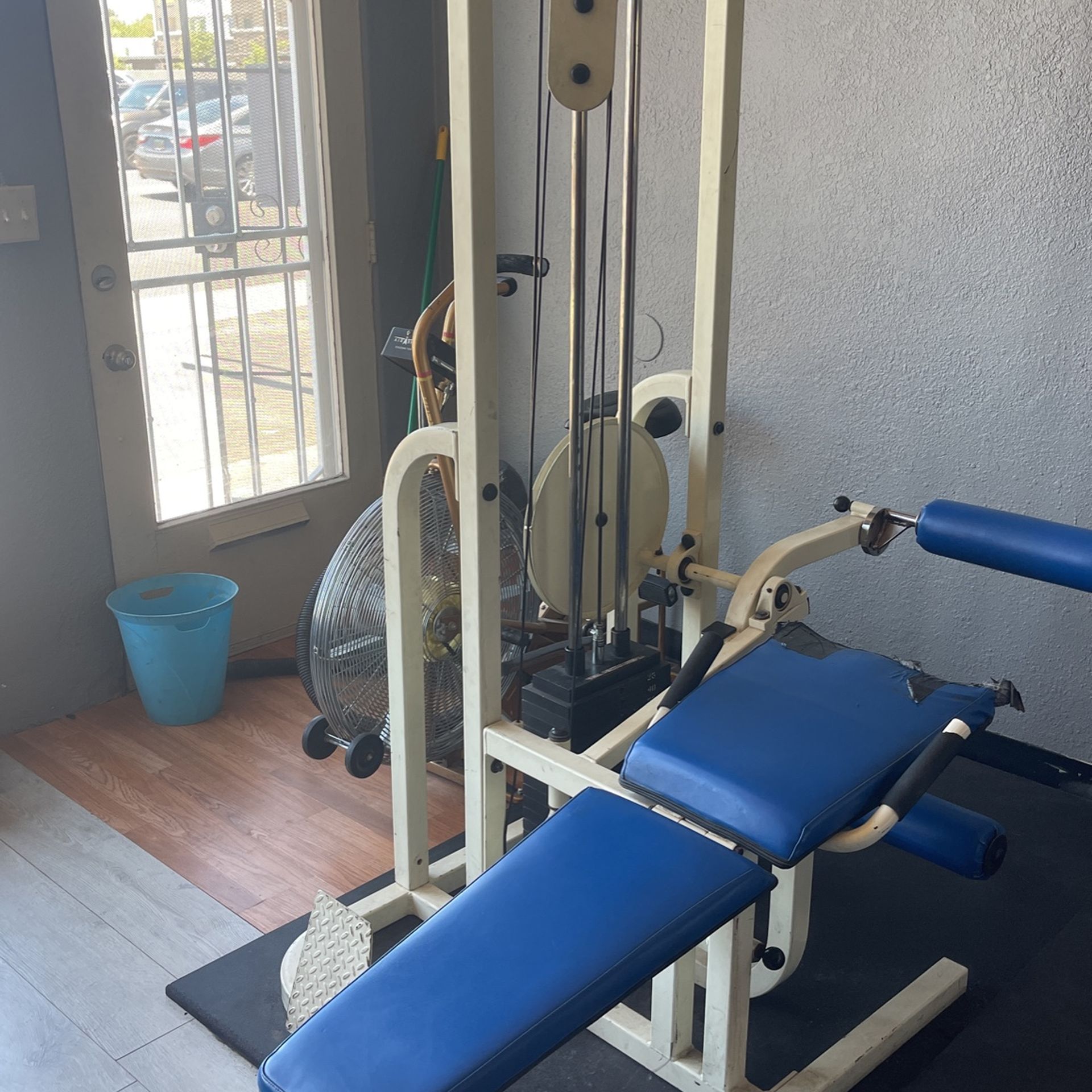 Maxicam Leg Extension Hamstring Curl Seated Row Combo for Sale in ...