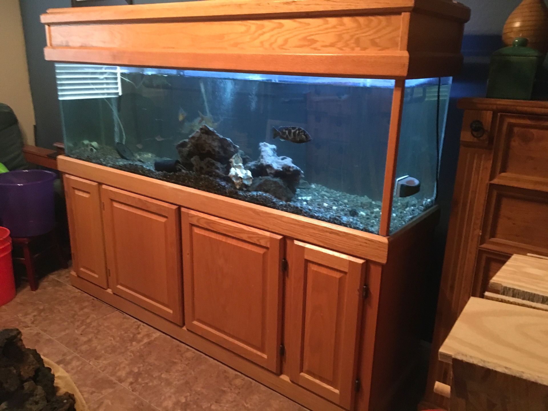 125 GALLON FISH TANK WITH STAND AND CANOPY Available For Pick Up After 125 GALLON FISH TANK WITH STAND AND CANOPY Available For Pick Up After