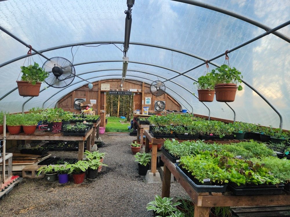 Greenhouse Plant Sale for Sale in Woodland, WA - OfferUp