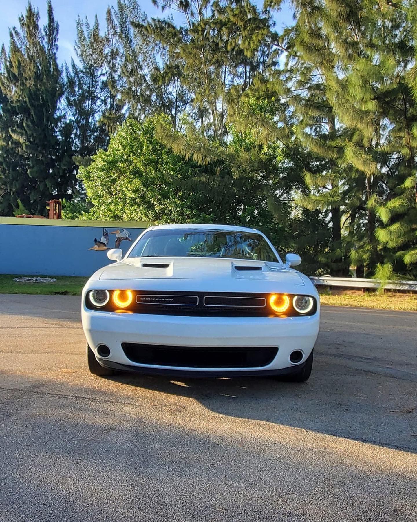 2015 Dodge Challenger for Sale in Fort Lauderdale, FL - OfferUp