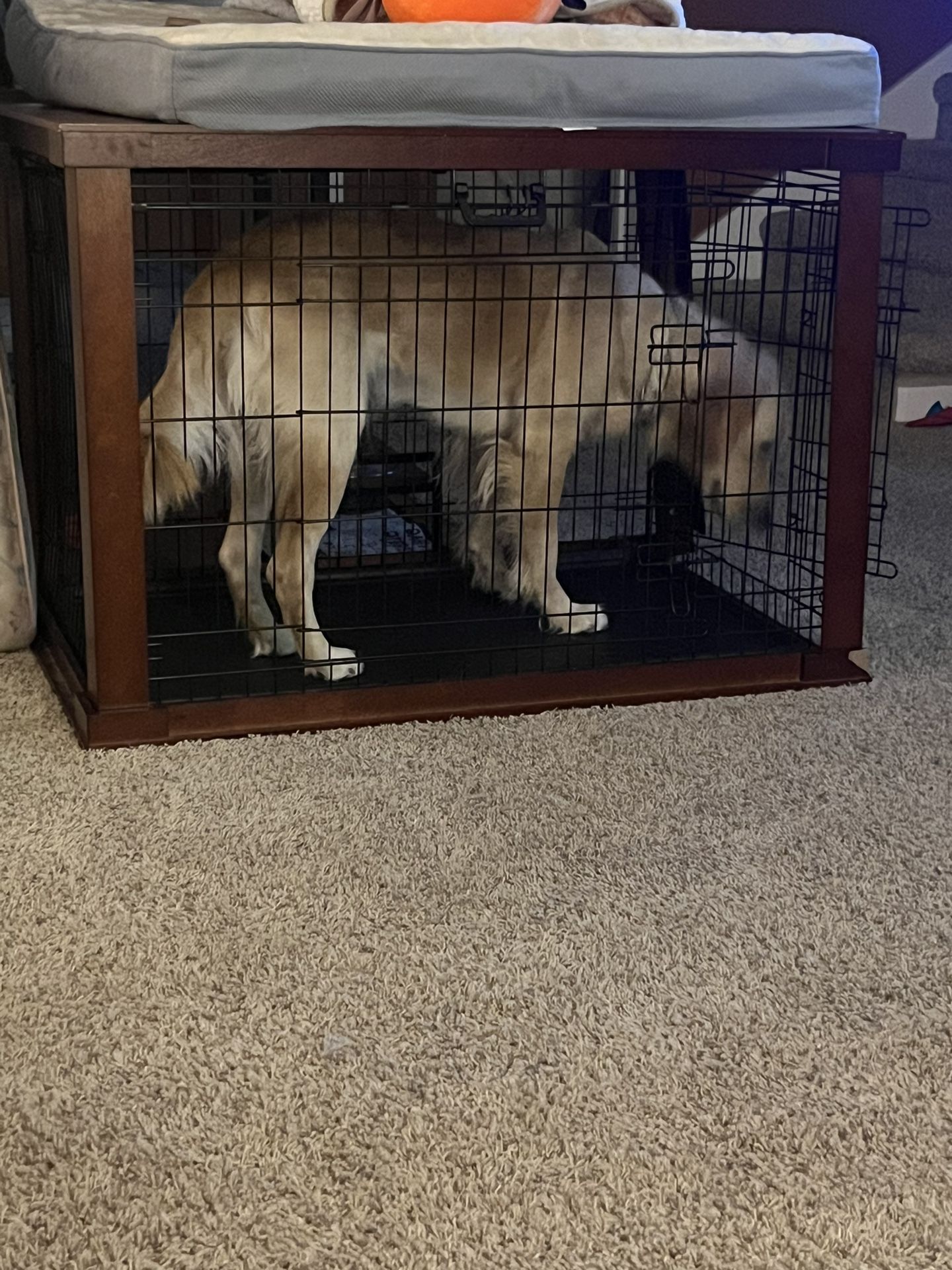 Dog Crate for Sale in Norton Shores, MI - OfferUp