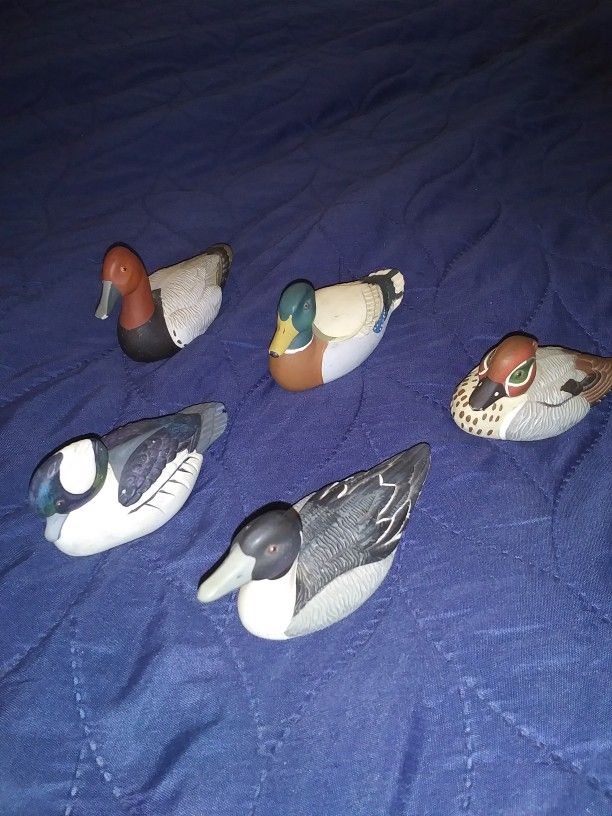 Avon Duck Collection