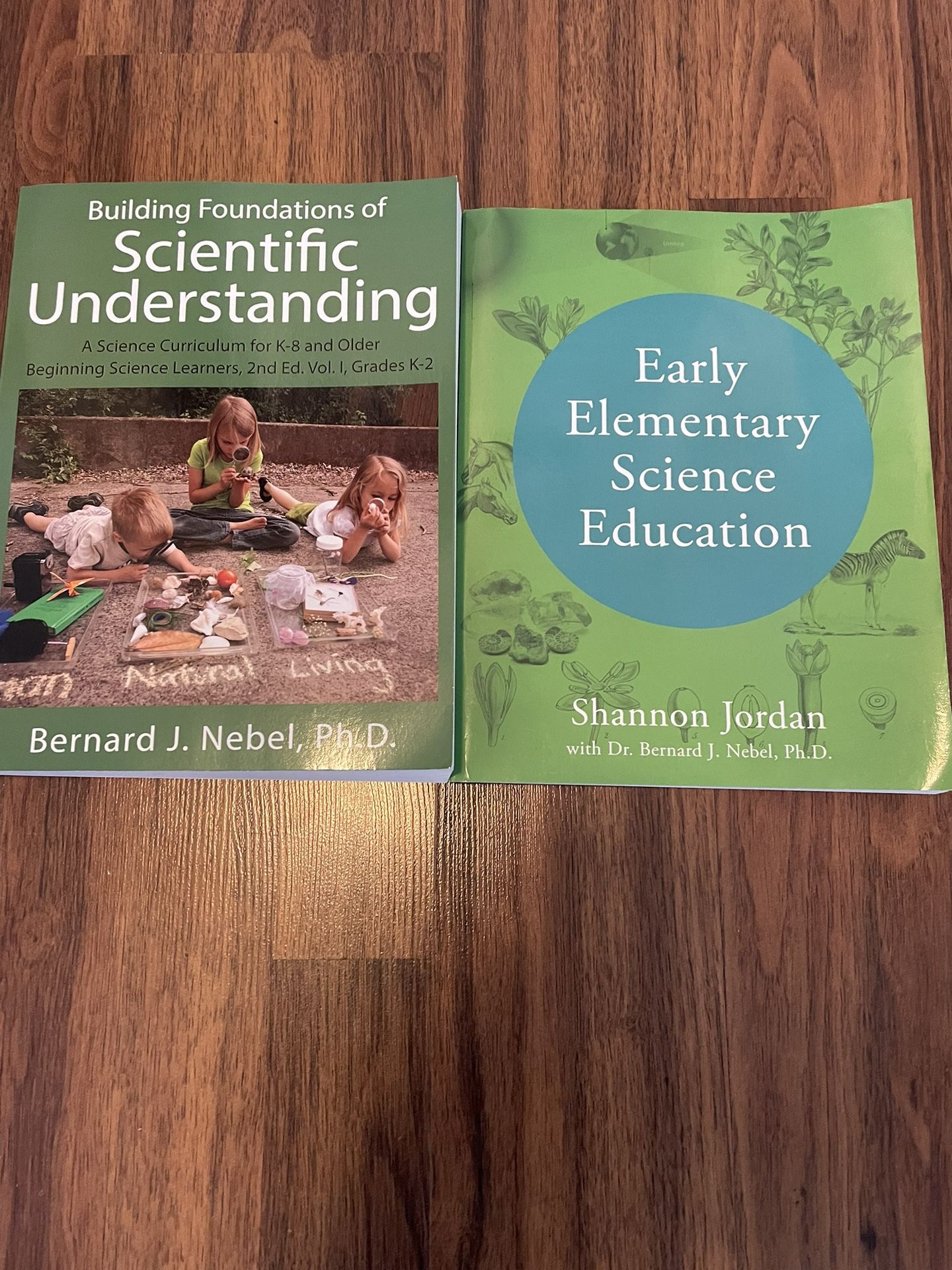 Early Elementary Science Education & Building Foundations Of Scientific ...