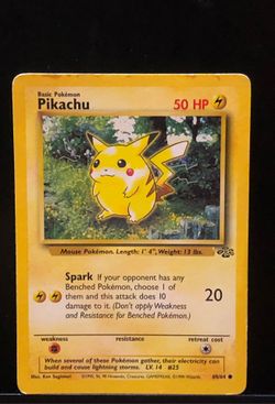 Pikachu 1995 store