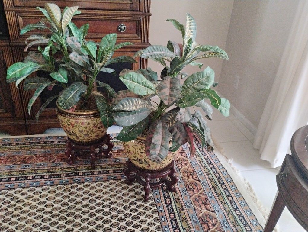 Ceramic Pots W Silk Plants for Sale in Delray Beach, FL - OfferUp