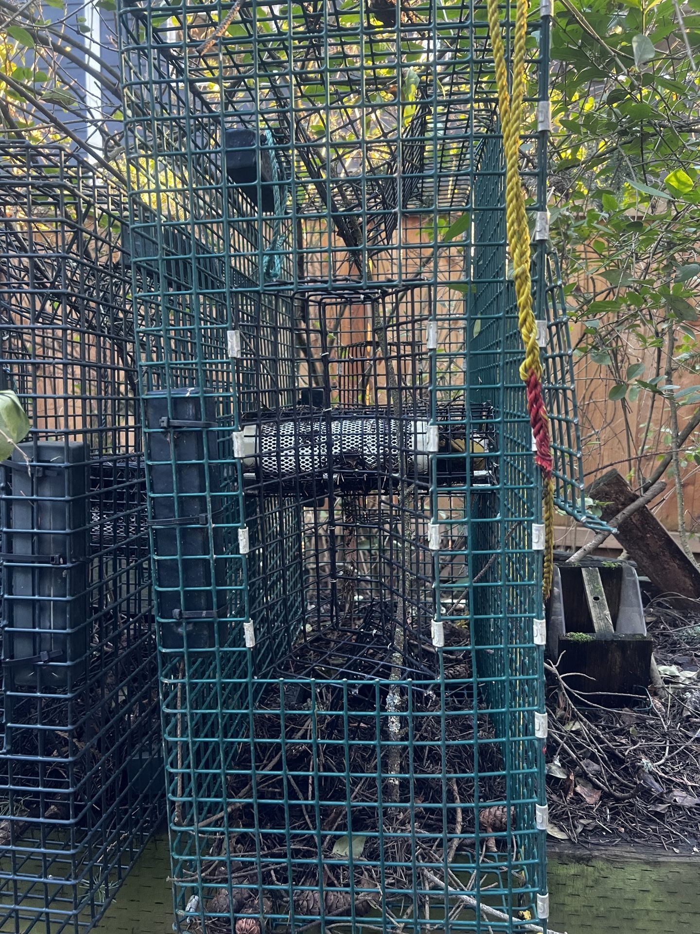 Shrimp Pot for Sale in Seattle, WA - OfferUp