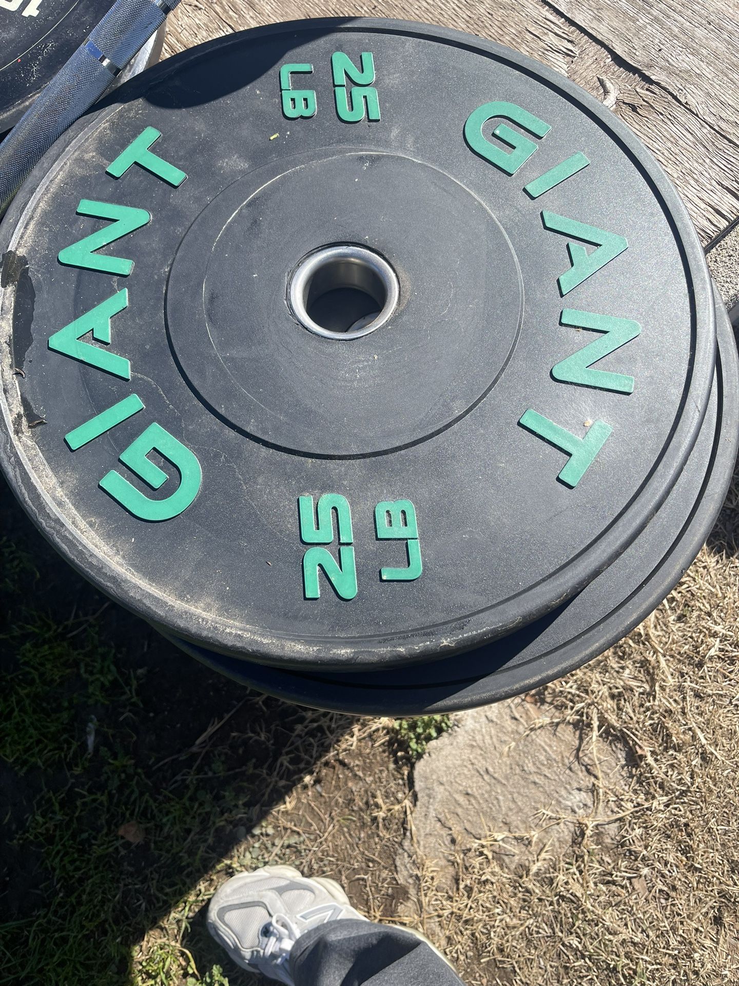Giant 25 Ibs Plates for Sale in Phoenix, AZ - OfferUp
