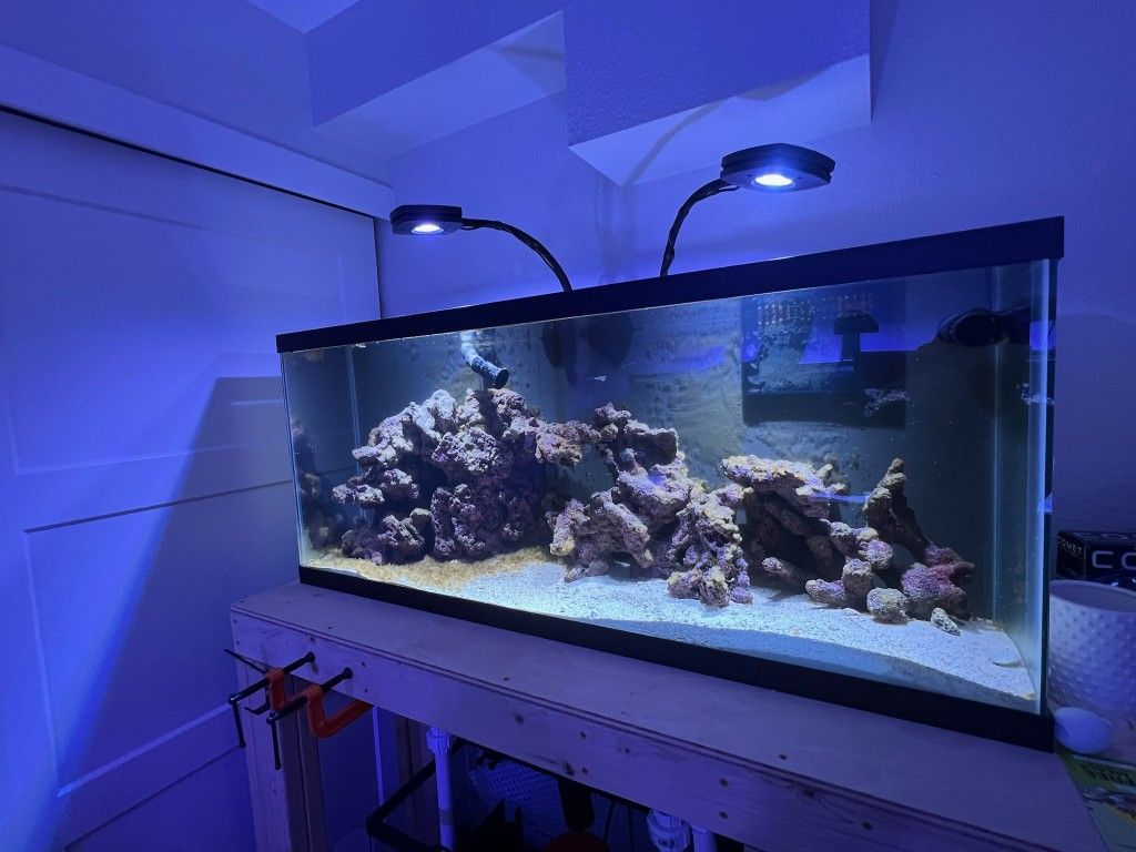 Custom Fish Tank With Stand for Sale in Edgewood, WA - OfferUp