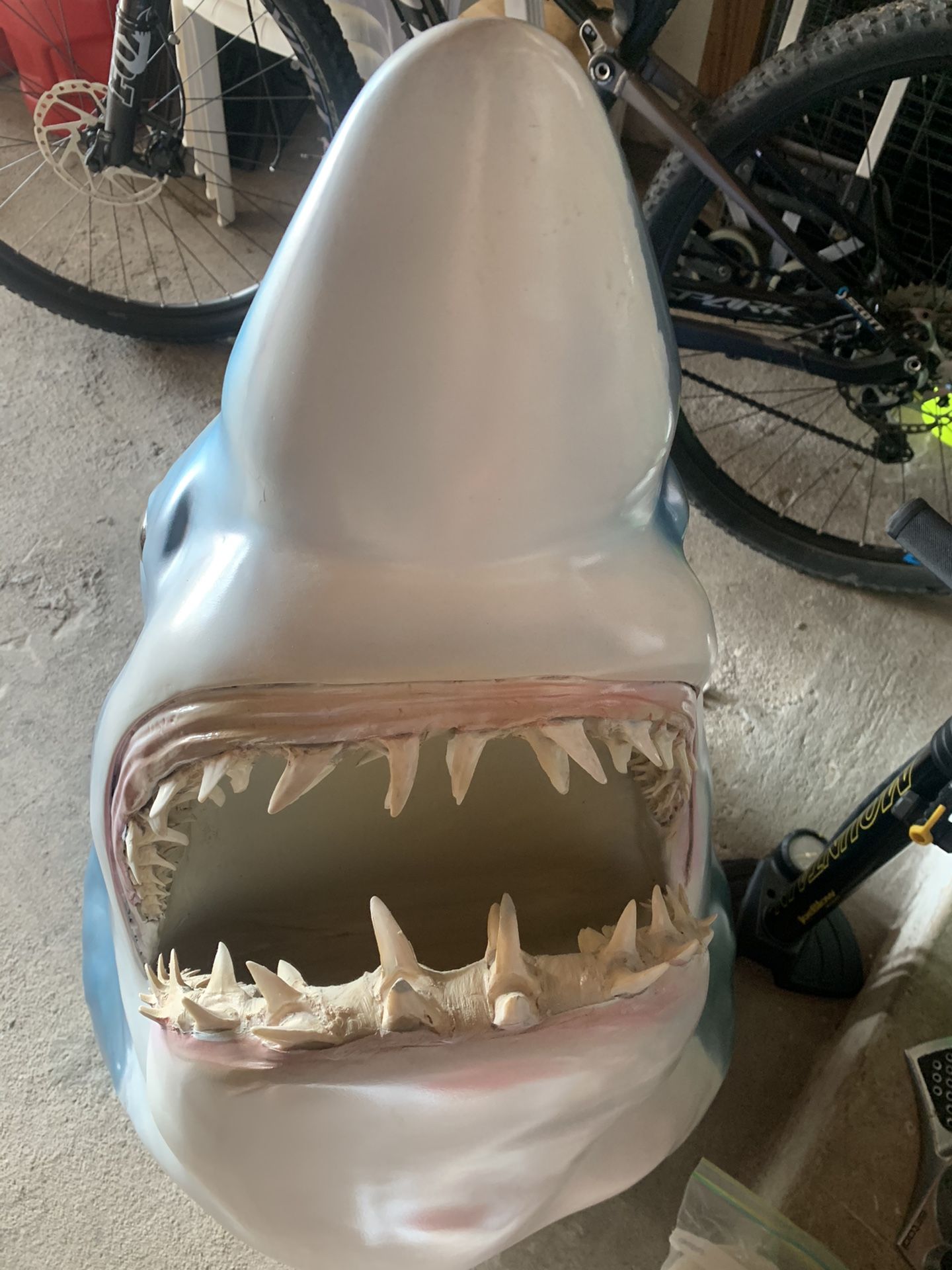 Mako Shark Mount for Sale in Miami, FL - OfferUp
