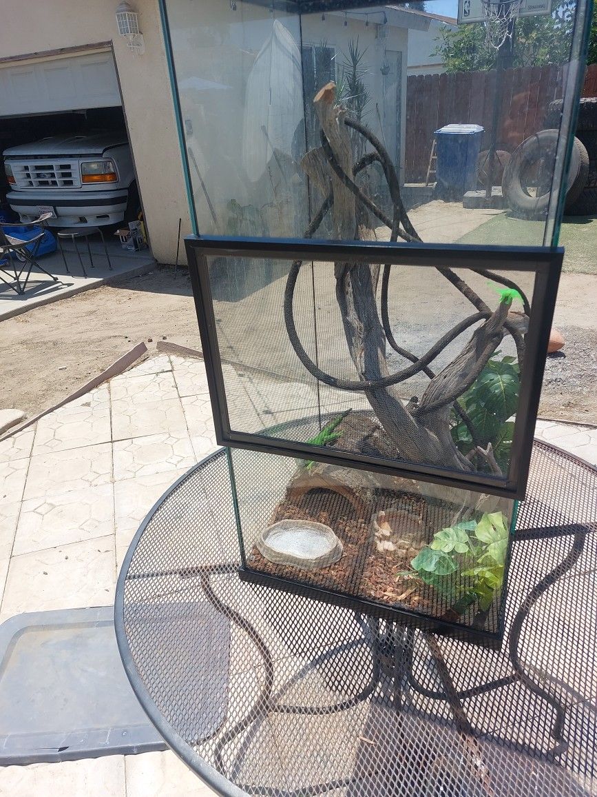 Lizard Cage - For Iguanas & Chameleons for Sale in Lynwood, CA - OfferUp