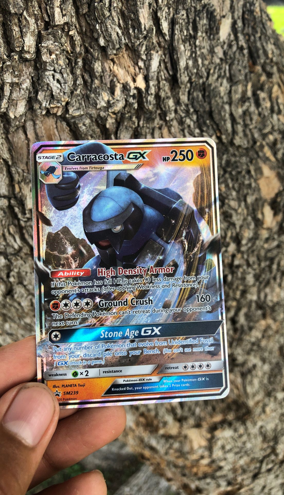 Pokemon Carracosta Card