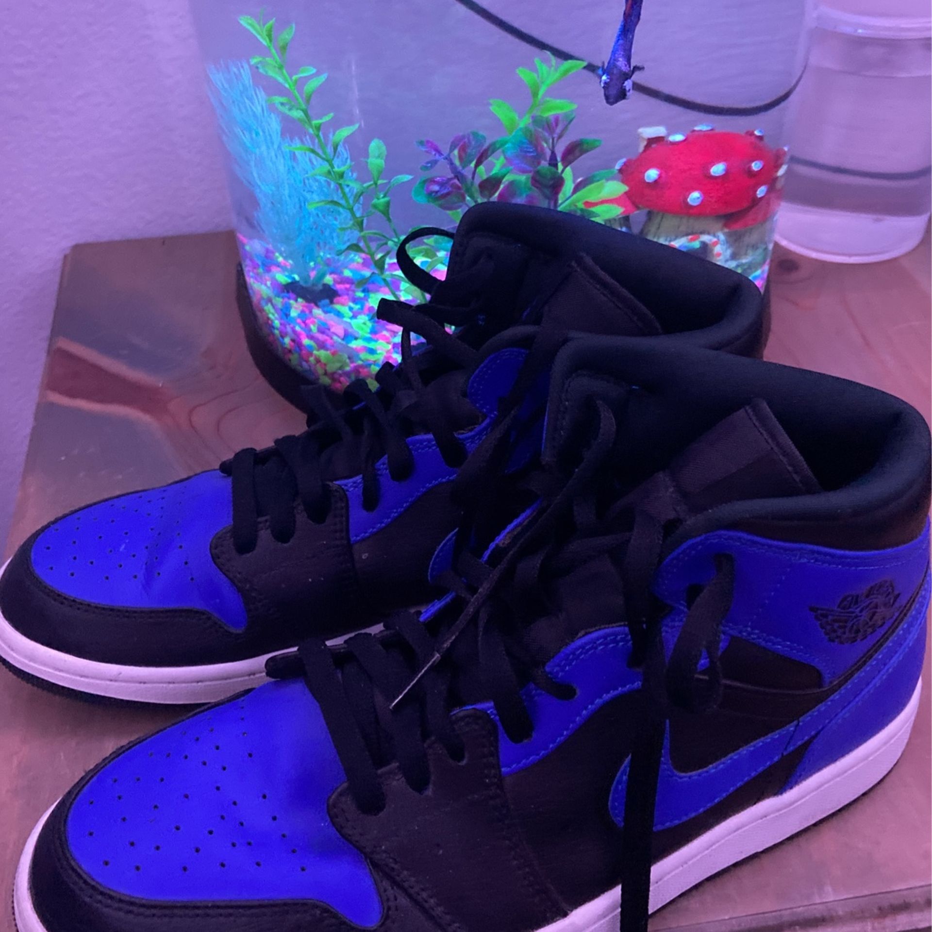 Nike Royal Blue Mids Jordan 1 Size Mens 11s For Sale In Kuna ID OfferUp