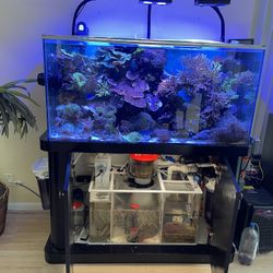 100 Gallon Saltwater Fish Tank