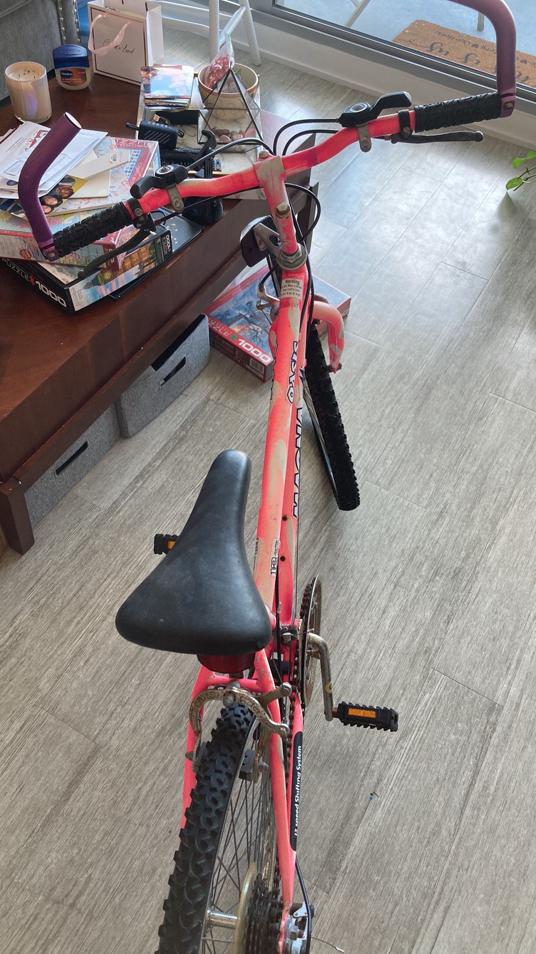 Oasis Magna 12 Speed Bike for Sale in West Palm Beach, FL - OfferUp